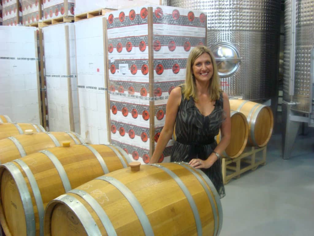 The Experience of Loudoun County: Award-Winning Wines Take Bloggers by ...