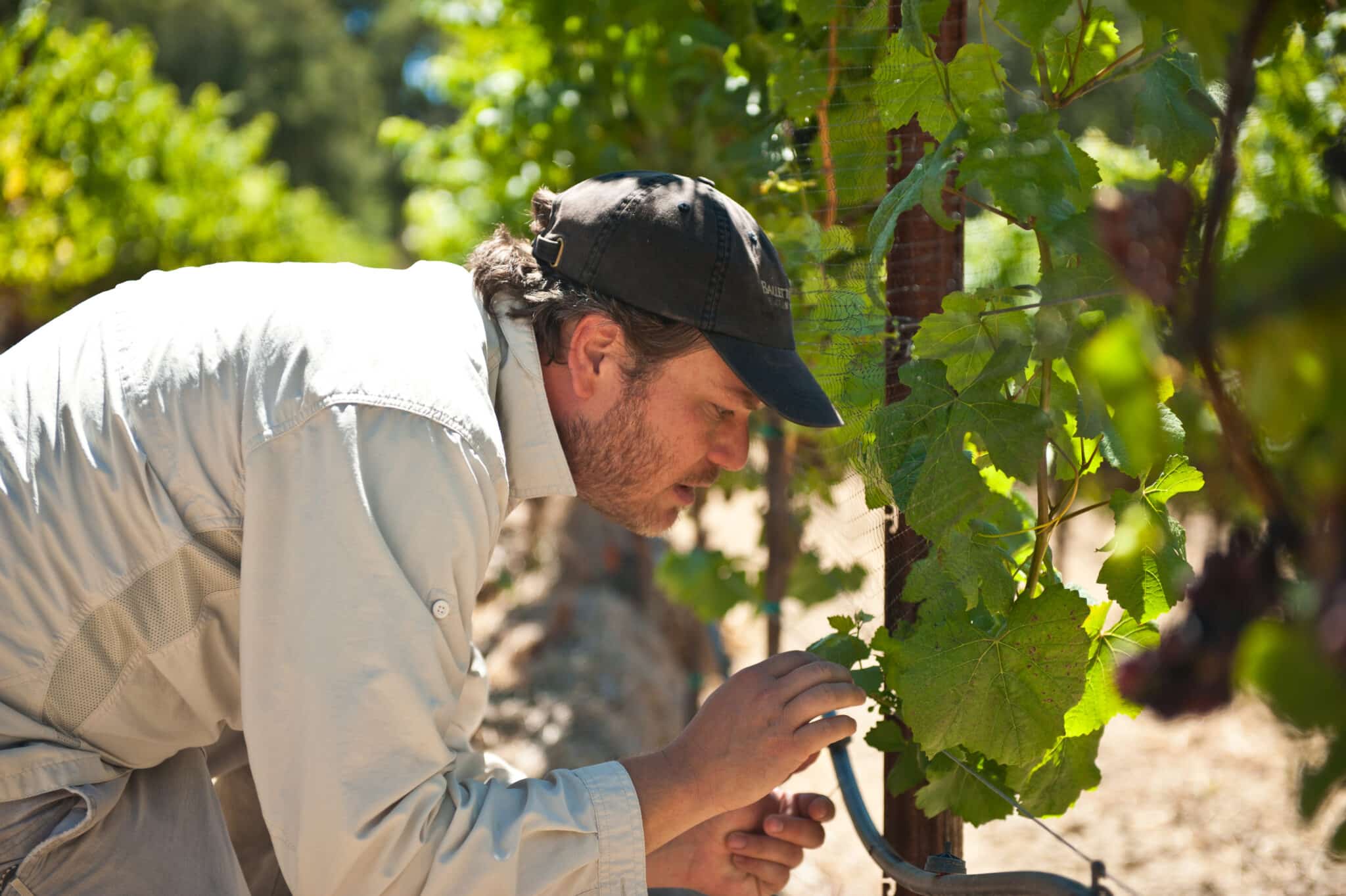 Best Wine Blog, Wine Club Dallas - DallasWineChick.com