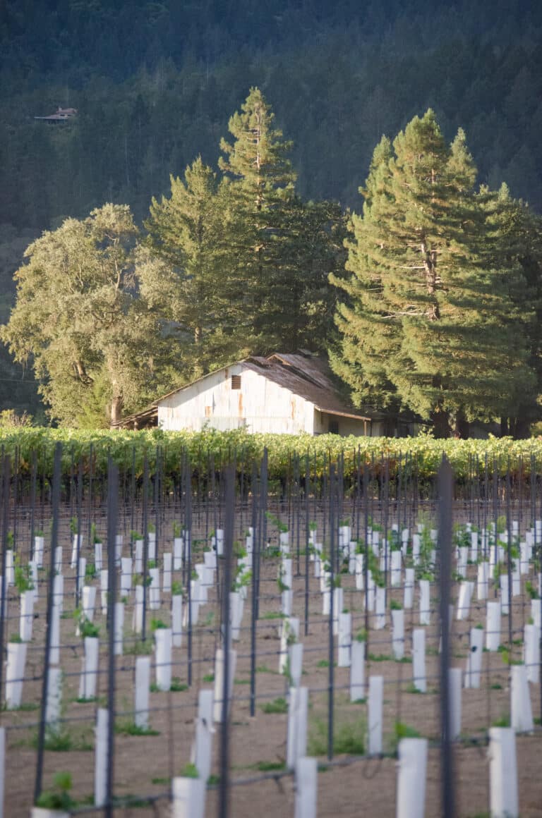 A Story of Passion, Purpose and Potential at Ballentine Winery ...