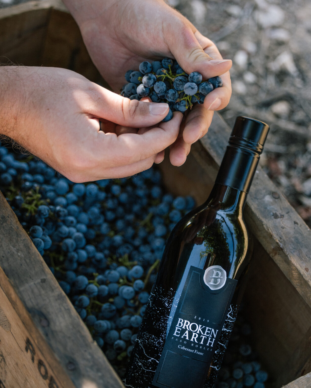 Best Wine Blog, Wine Club Dallas - DallasWineChick.com