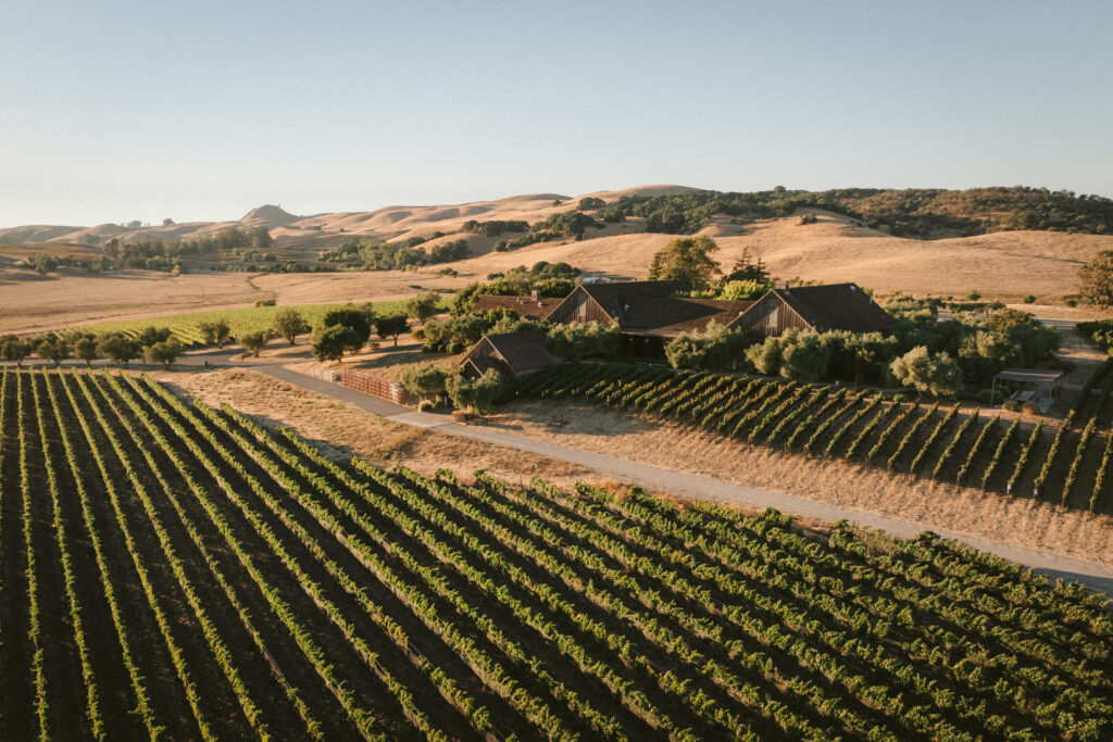 Ram’s Gate Winery: Where Sonoma’s Gateway, Science, and Storytelling ...